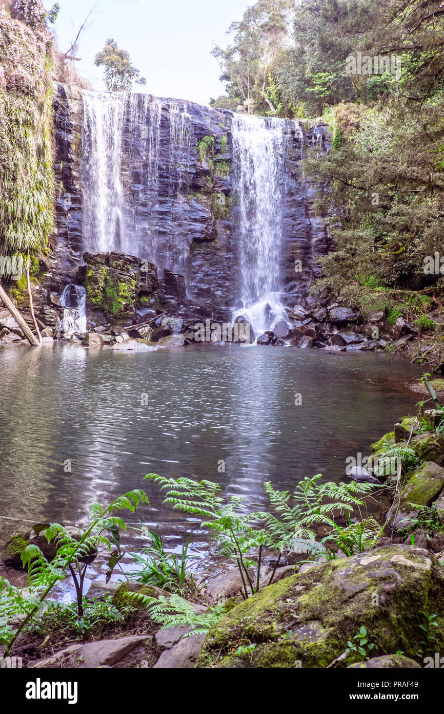 Wairoa new zealand hi-res stock photography and images - Alamy