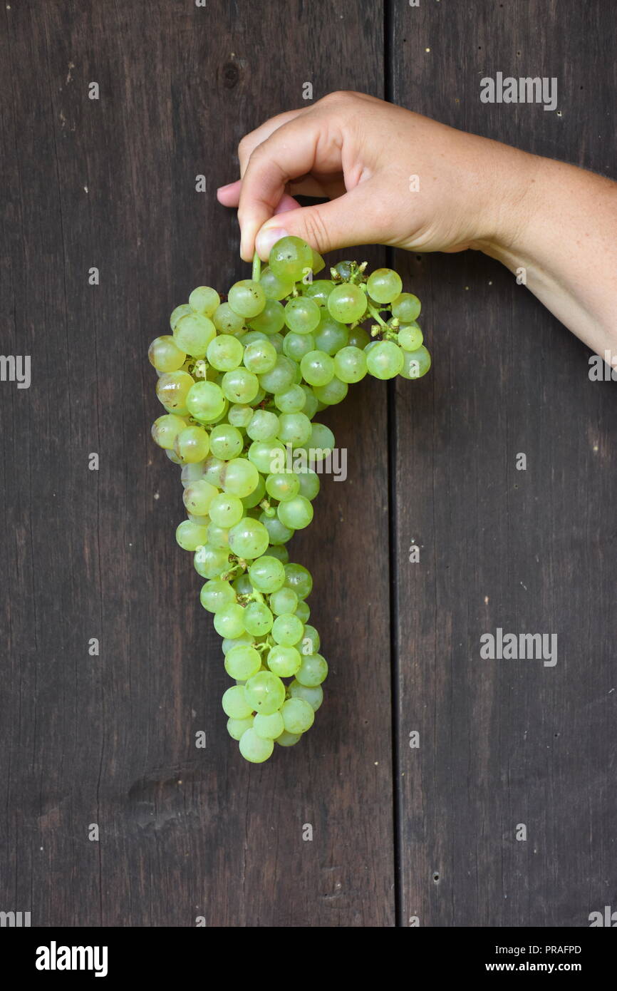 Grapes texture hi-res stock photography and images - Alamy