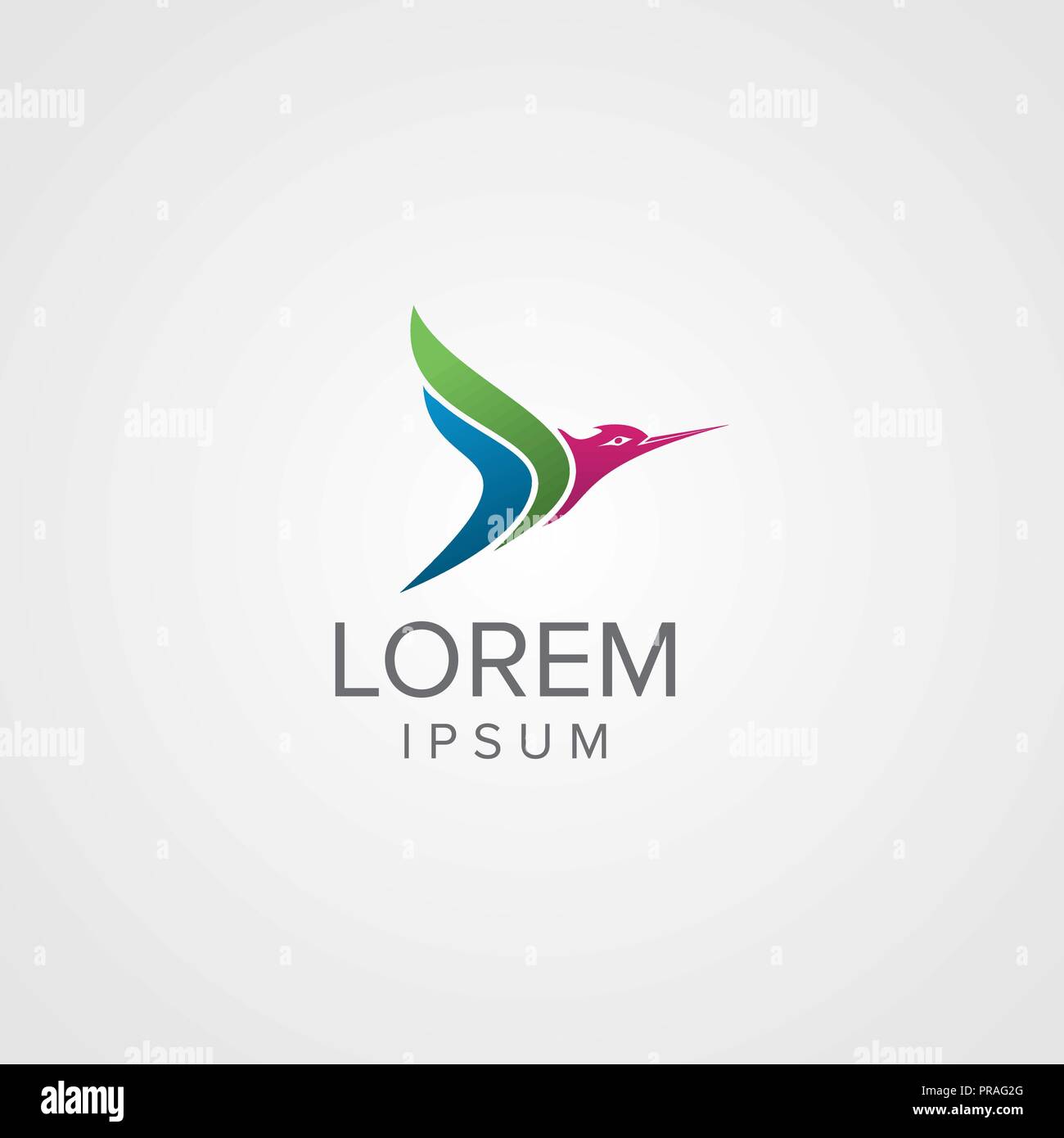 Hummingbird vector outline hi-res stock photography and images - Alamy