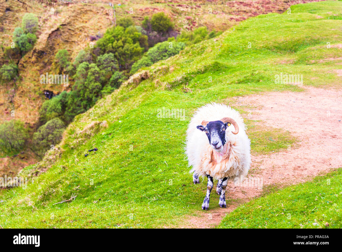 landscape of the Isle of Skye in a spring day Stock Photo - Alamy