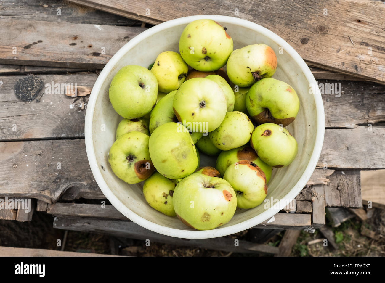 Rotten apples in a bucket hi-res stock photography and images - Alamy