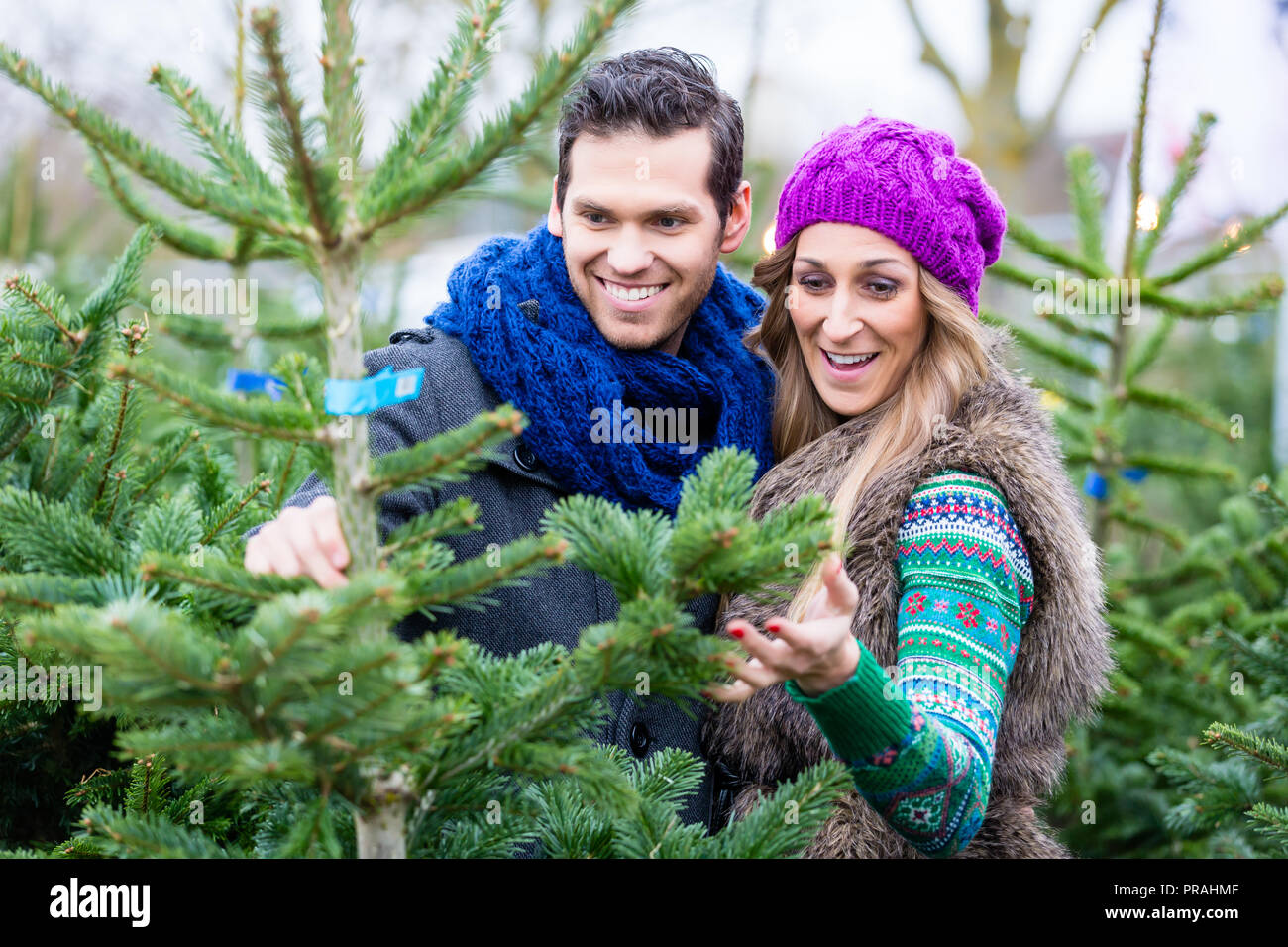 Tree man woman hi-res stock photography and images - Alamy