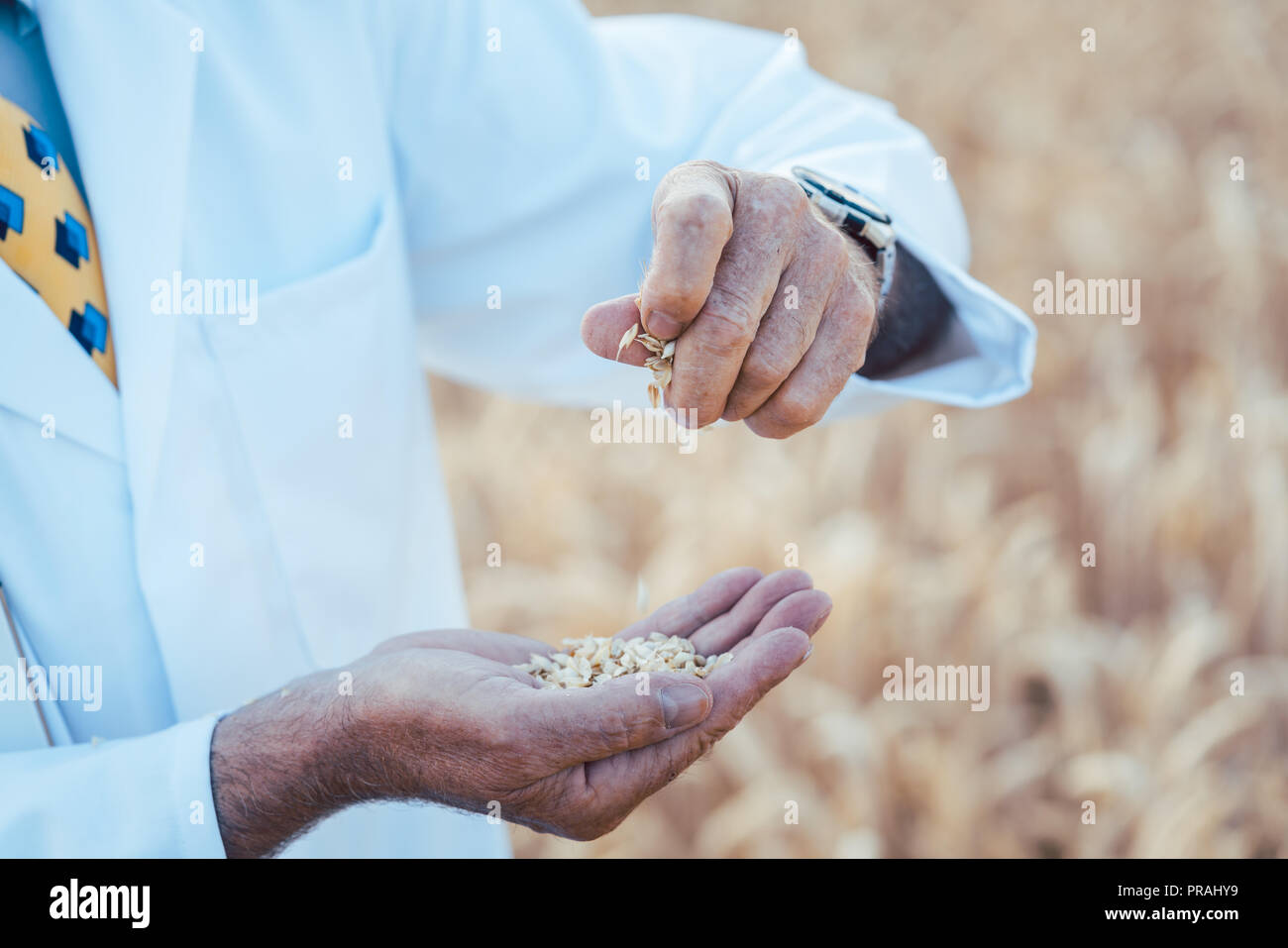 Grain testing hi-res stock photography and images - Alamy