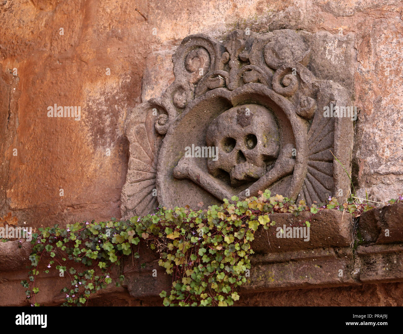 Skull church stone hi-res stock photography and images - Alamy
