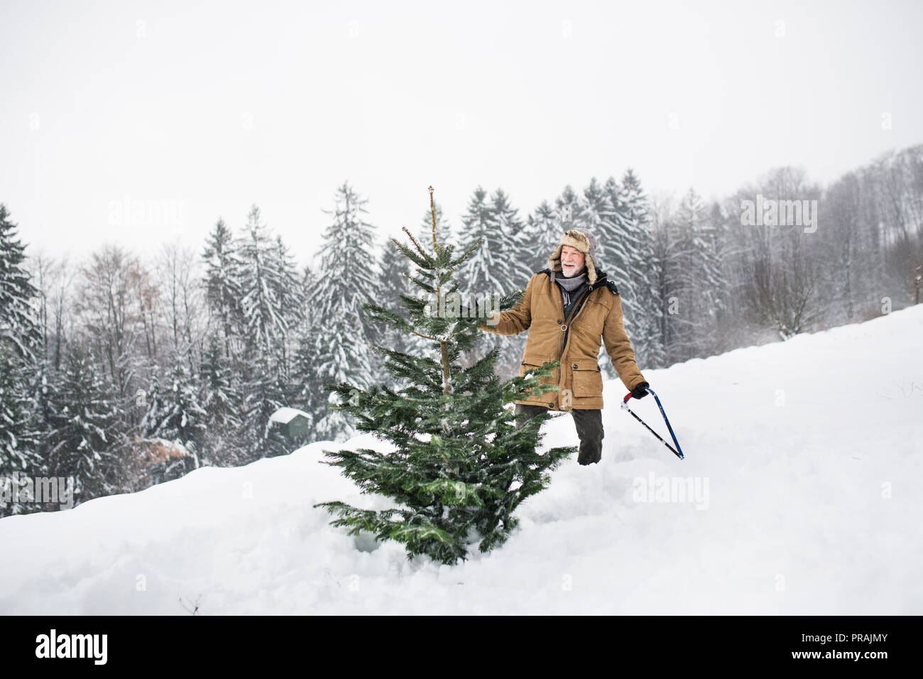 Senior man getting christmas hi-res stock photography and images - Alamy