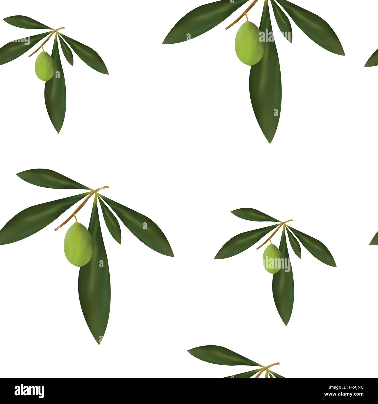 seamless pattern with green olive tree vector - floral pattern - white ...
