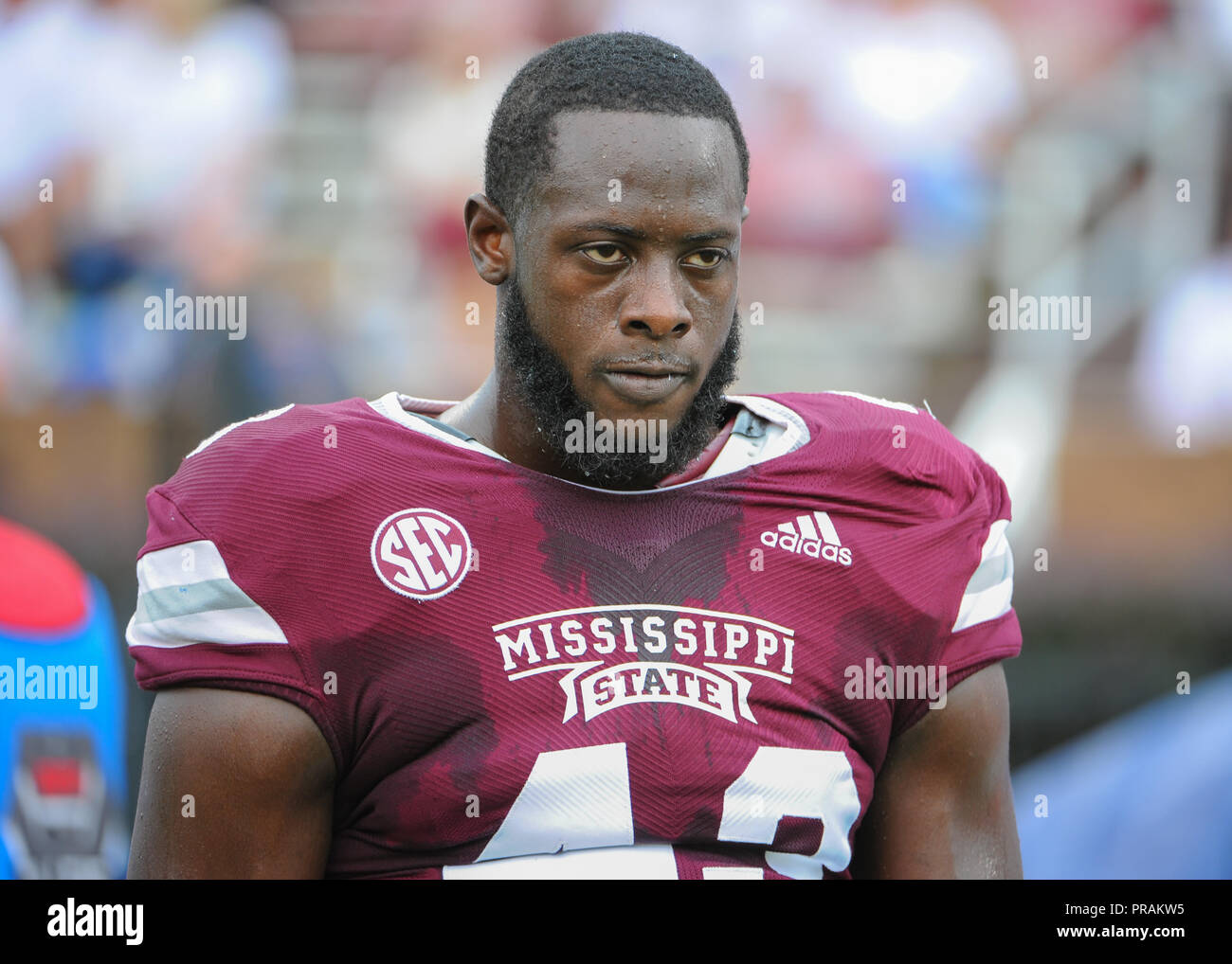 Where ms adams hi-res stock photography and images - Alamy