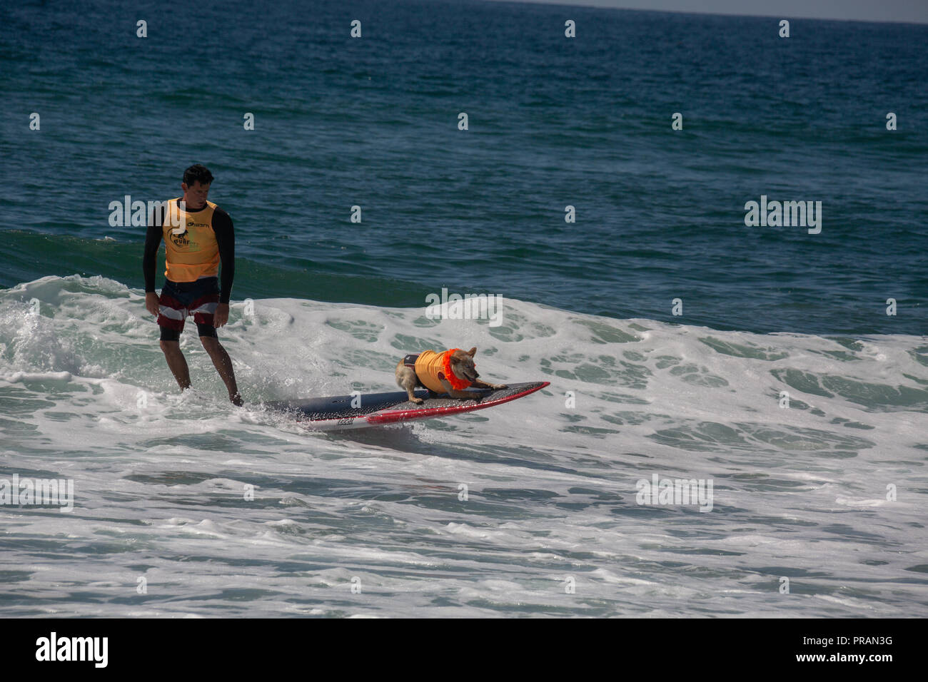 Huntington Beach, California, USA. 29th Sept, 2018. September 29, 2018 ...