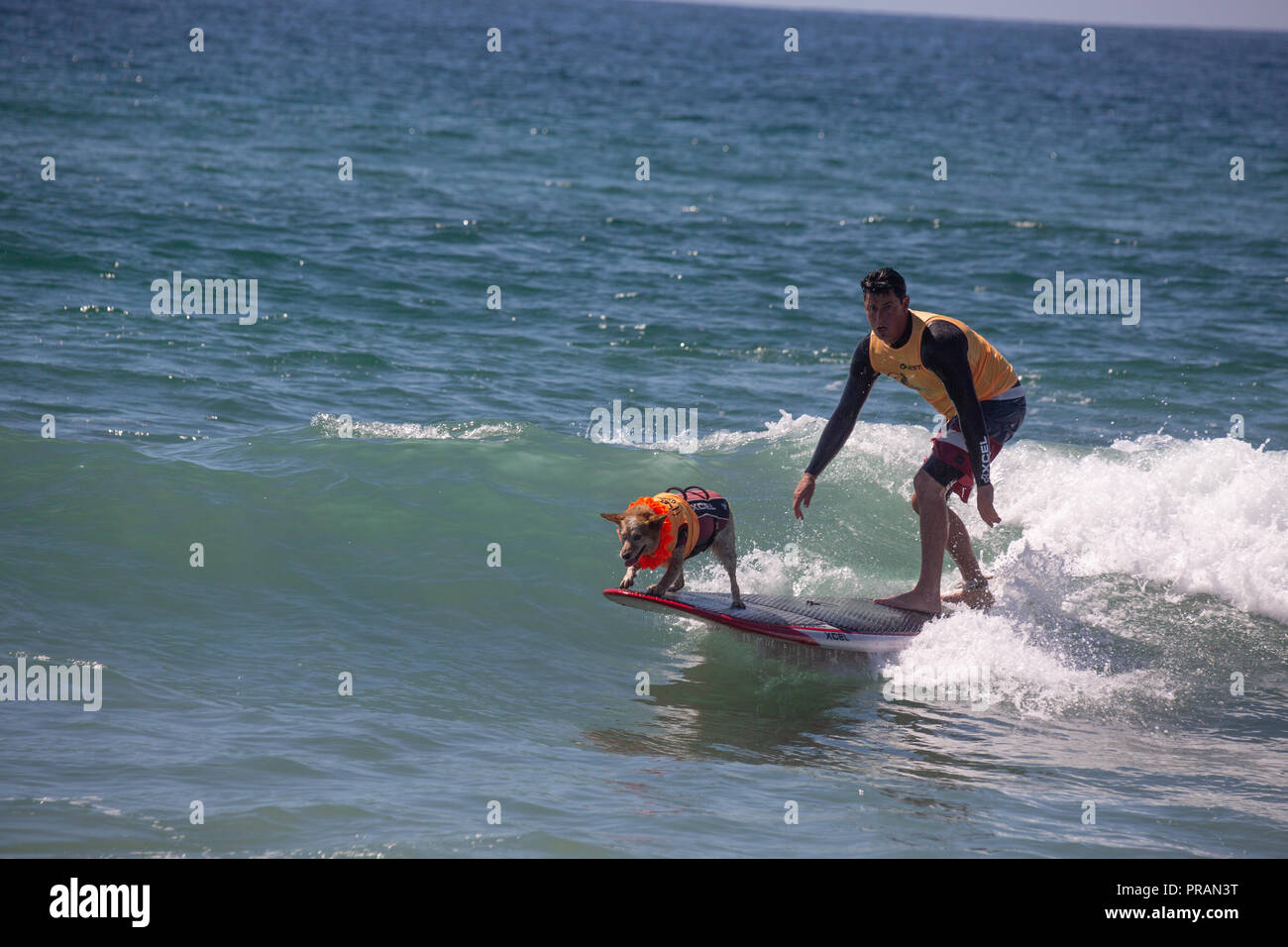 Huntington Beach, California, USA. 29th Sept, 2018. September 29, 2018 ...