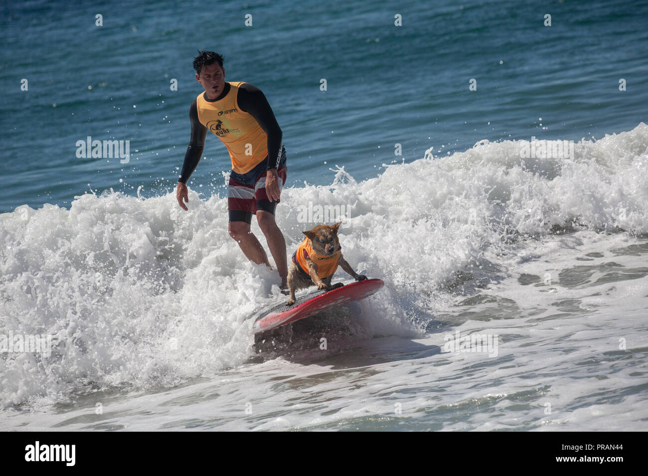 Huntington Beach, California, USA. 29th Sept, 2018. September 29, 2018 ...
