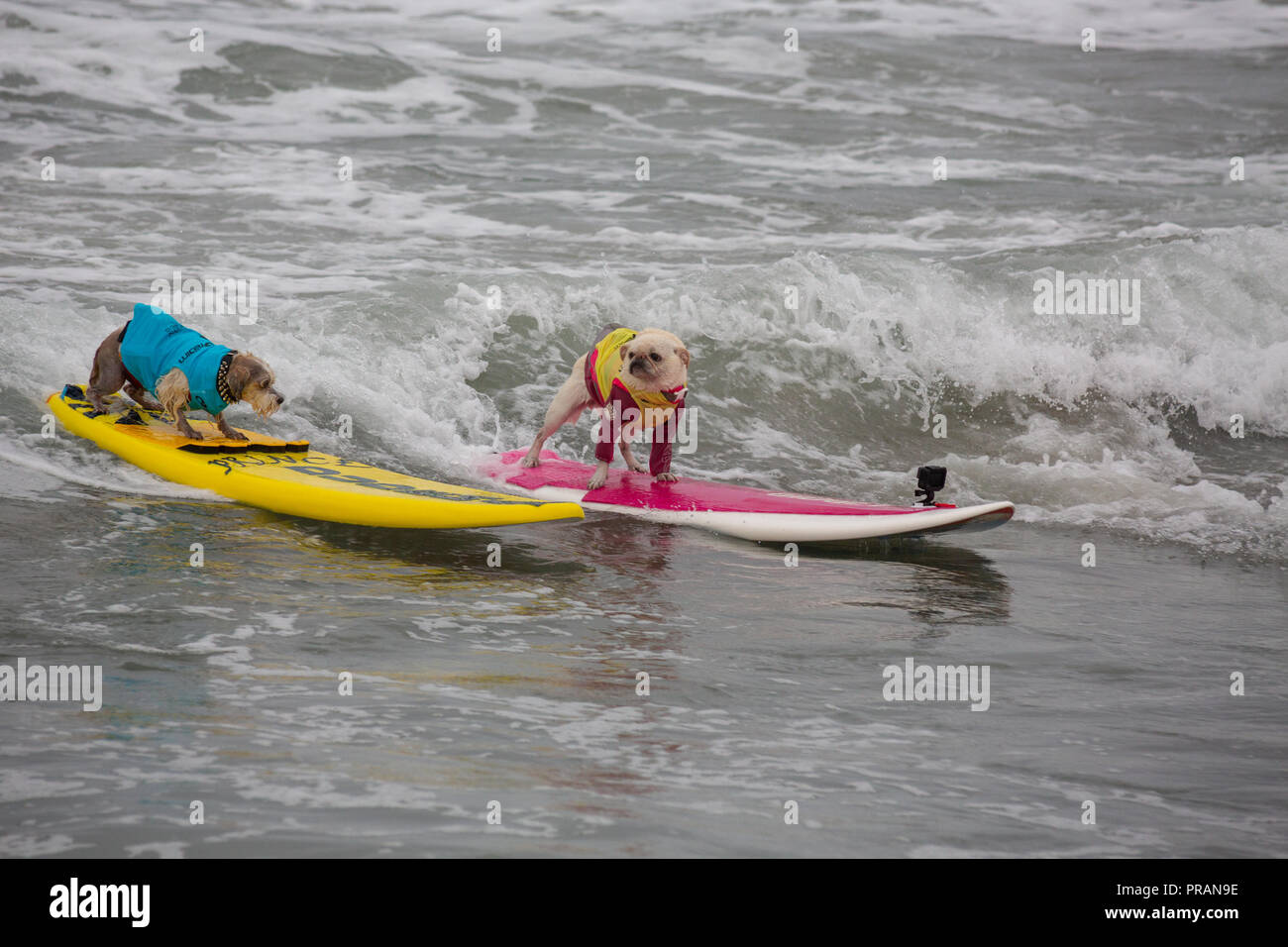 Huntington Beach, California, USA. 29th Sept, 2018. September 29, 2018 ...