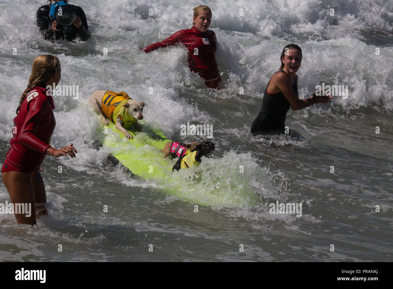 Huntington beach junior lifeguards hi-res stock photography and images ...