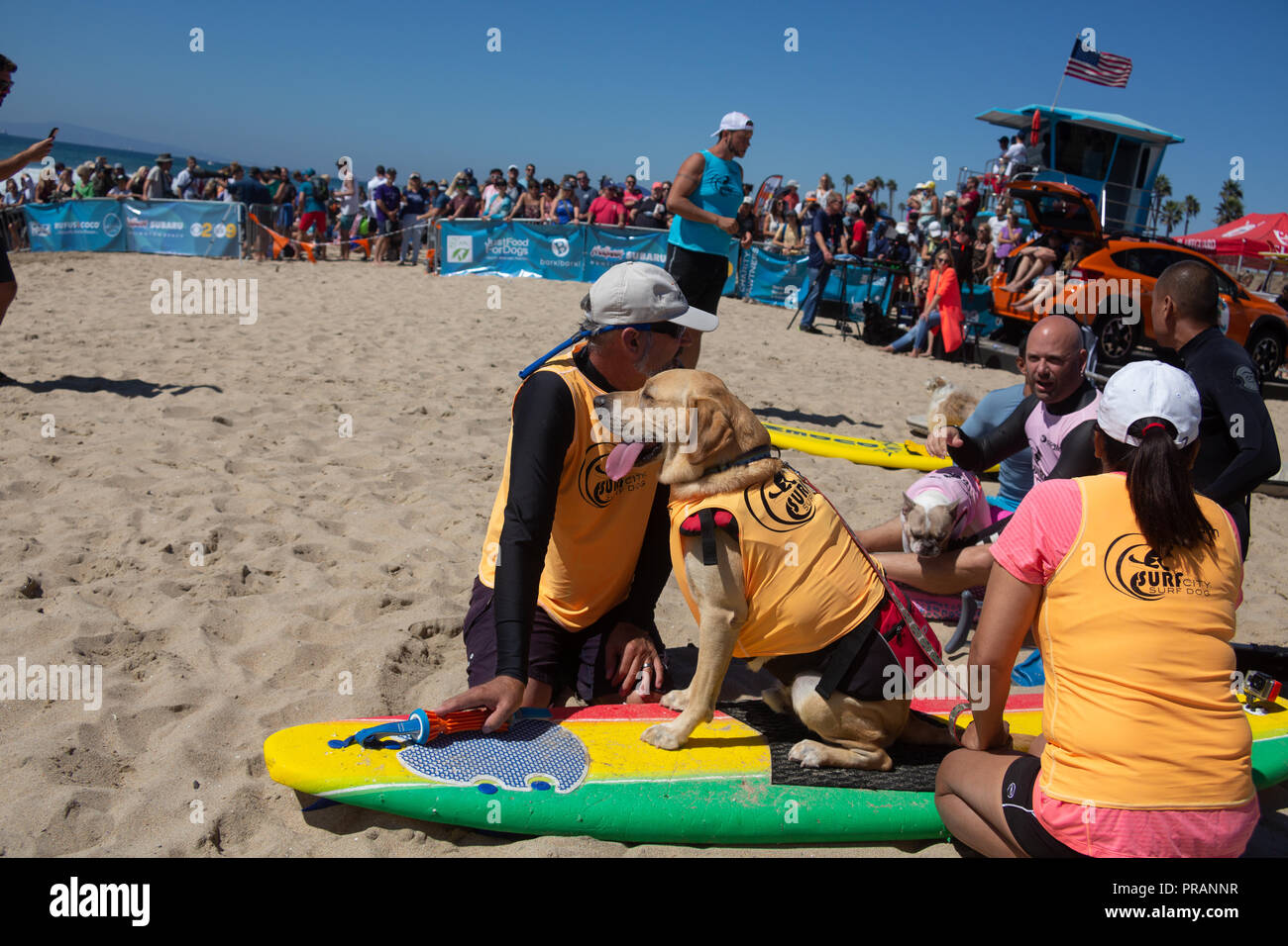 Maria huntington hi-res stock photography and images - Alamy