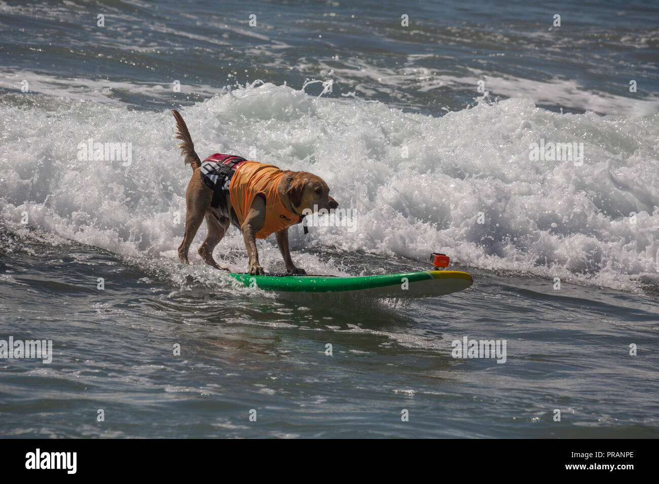 Maria huntington hi-res stock photography and images - Alamy