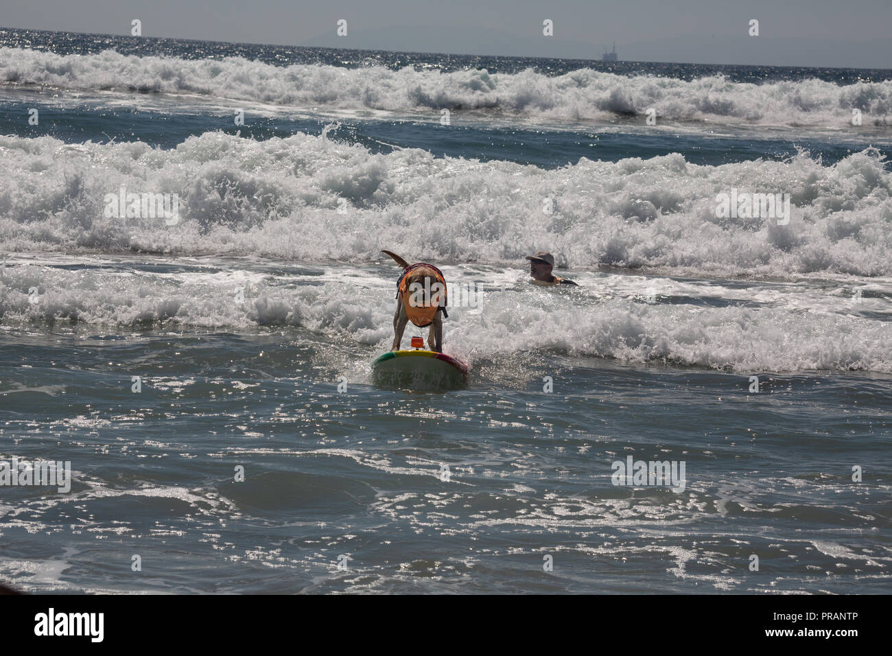 Maria huntington hi-res stock photography and images - Alamy