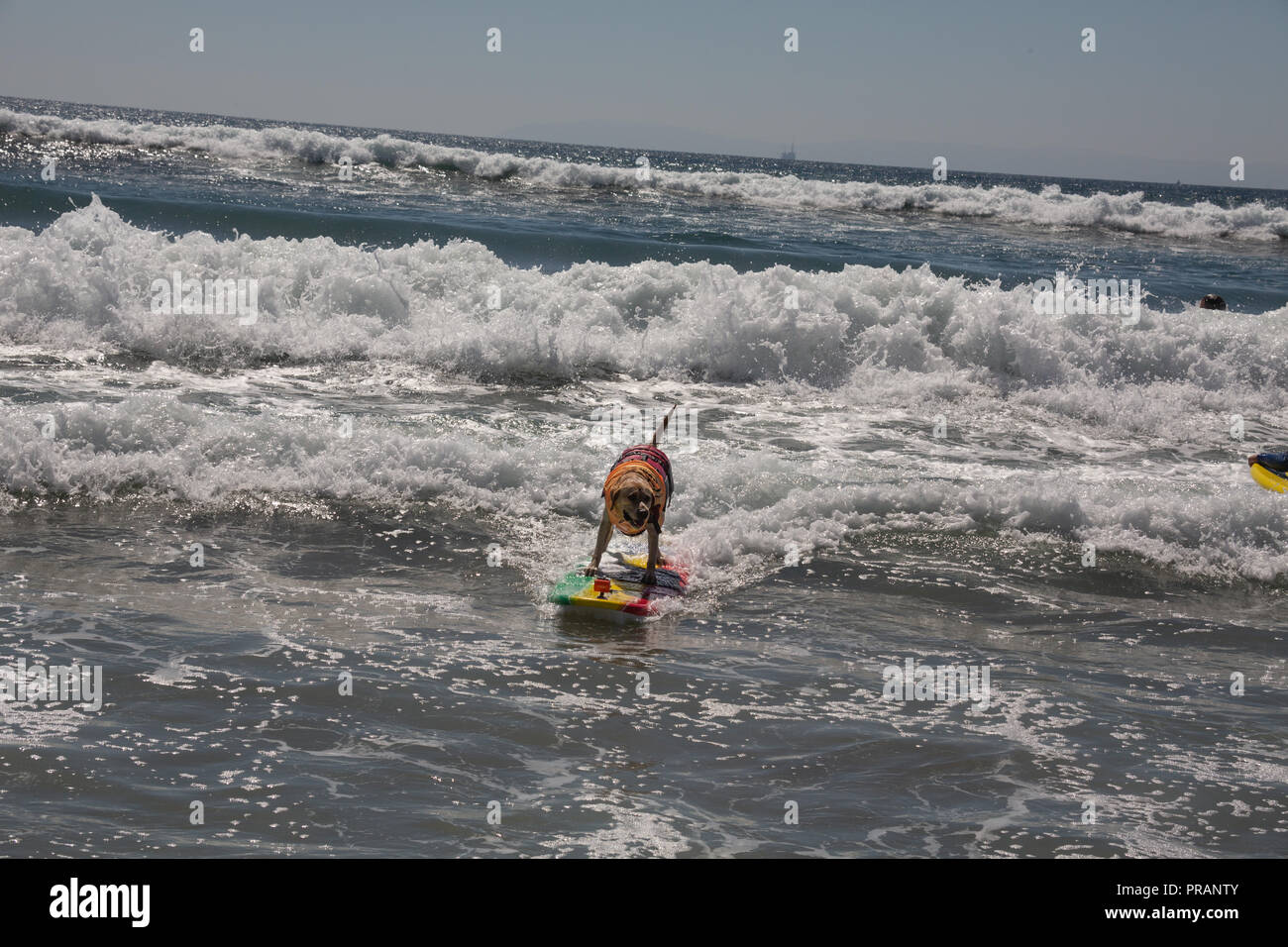 Maria huntington hi-res stock photography and images - Alamy