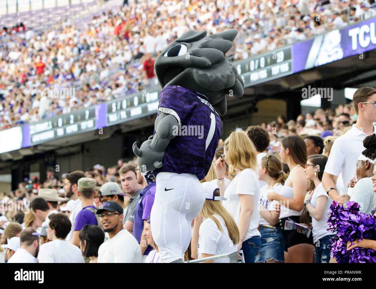 Tcu horned frogs mascot hi-res stock photography and images - Alamy
