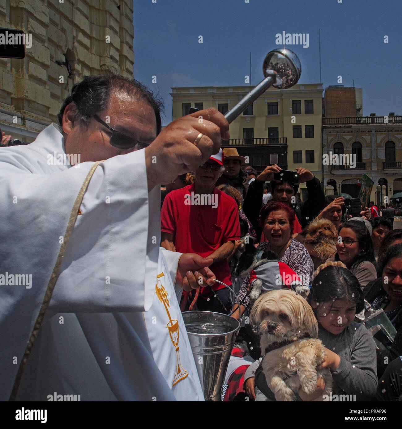A dog being blessed by a priest on St. Francis Of Assisi Day ...