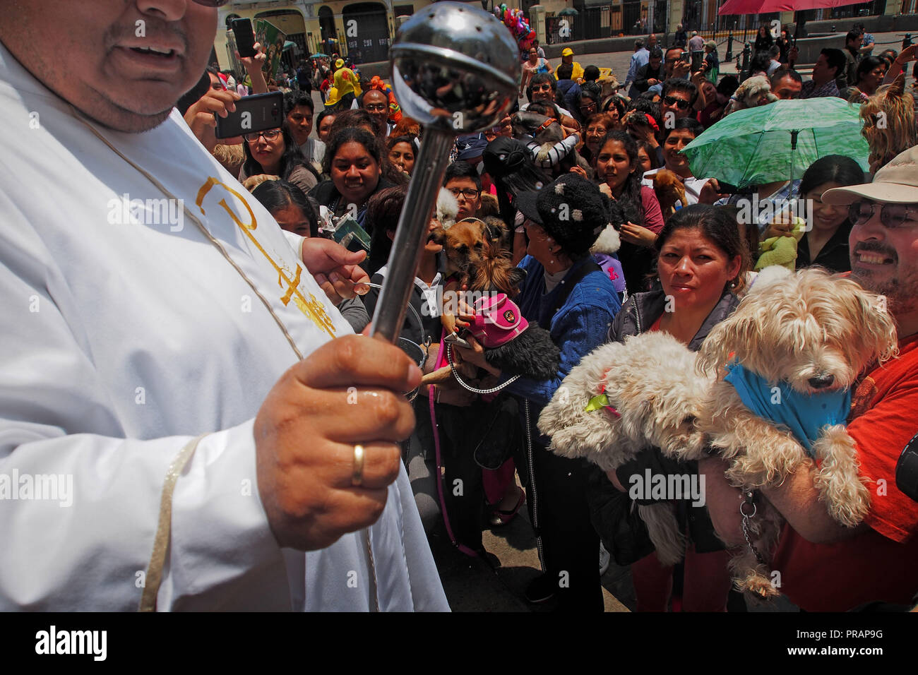 A dog being blessed by a priest on St. Francis Of Assisi Day ...