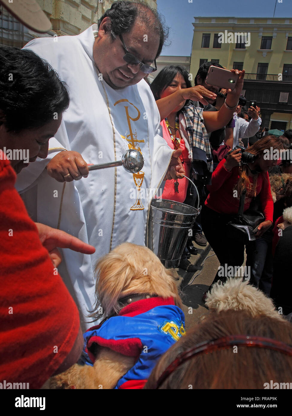 A dog being blessed by a priest on St. Francis Of Assisi Day ...