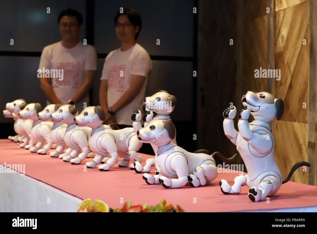 Tokyo, Japan. 29th Sep, 2019. Japanese electronics giant Sony's robot dogs "aibo" sing a ...