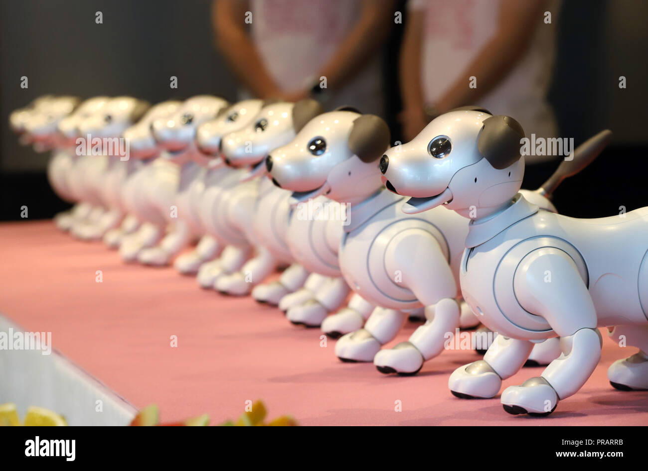 Tokyo, Japan. 29th Sep, 2019. Japanese electronics giant Sony's robot dogs "aibo" sing a ...