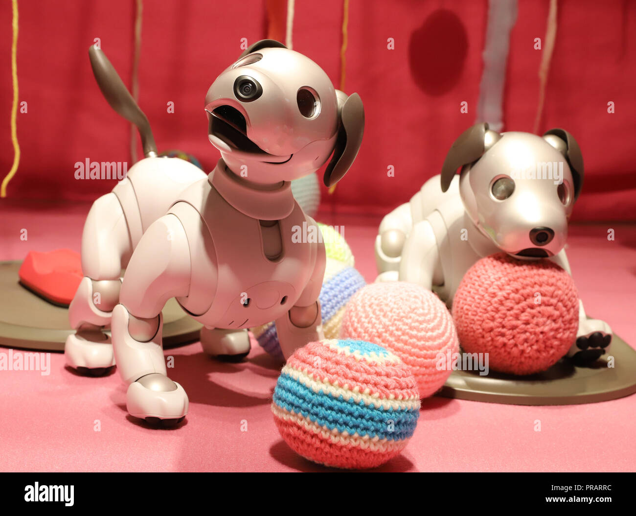 Tokyo, Japan. 29th Sep, 2019. Japanese electronics giant Sony's robot dogs "aibo" play with ...