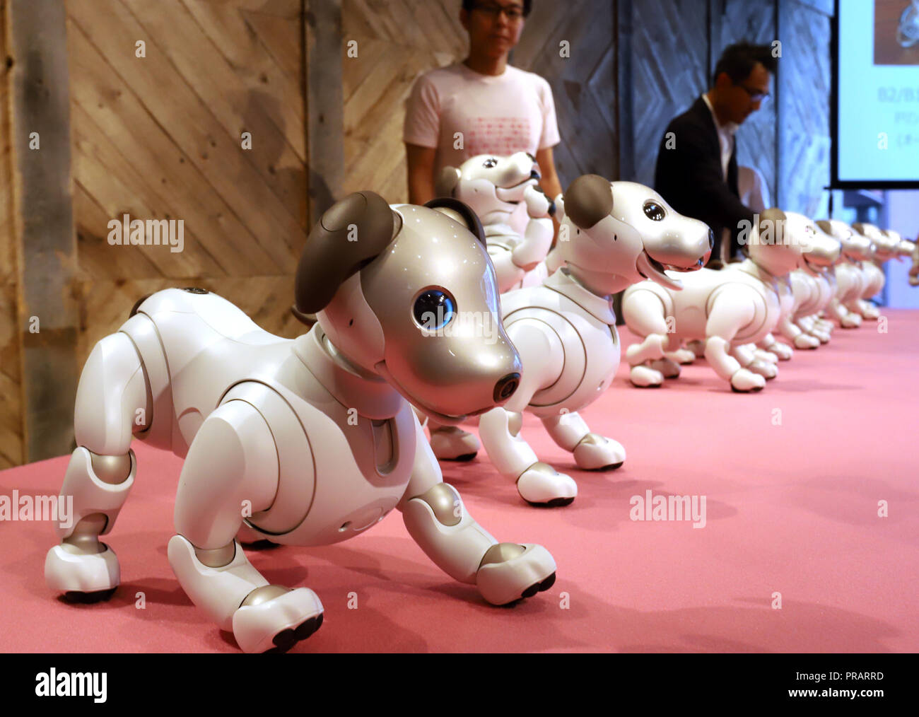 Tokyo, Japan. 29th Sep, 2019. Japanese electronics giant Sony's robot dogs "aibo" sing a ...
