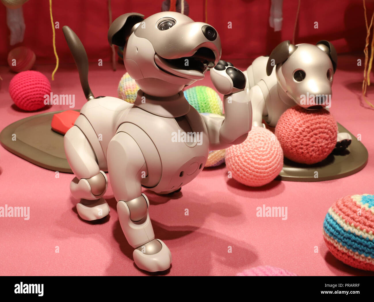 Tokyo, Japan. 29th Sep, 2019. Japanese electronics giant Sony's robot dogs "aibo" play with ...