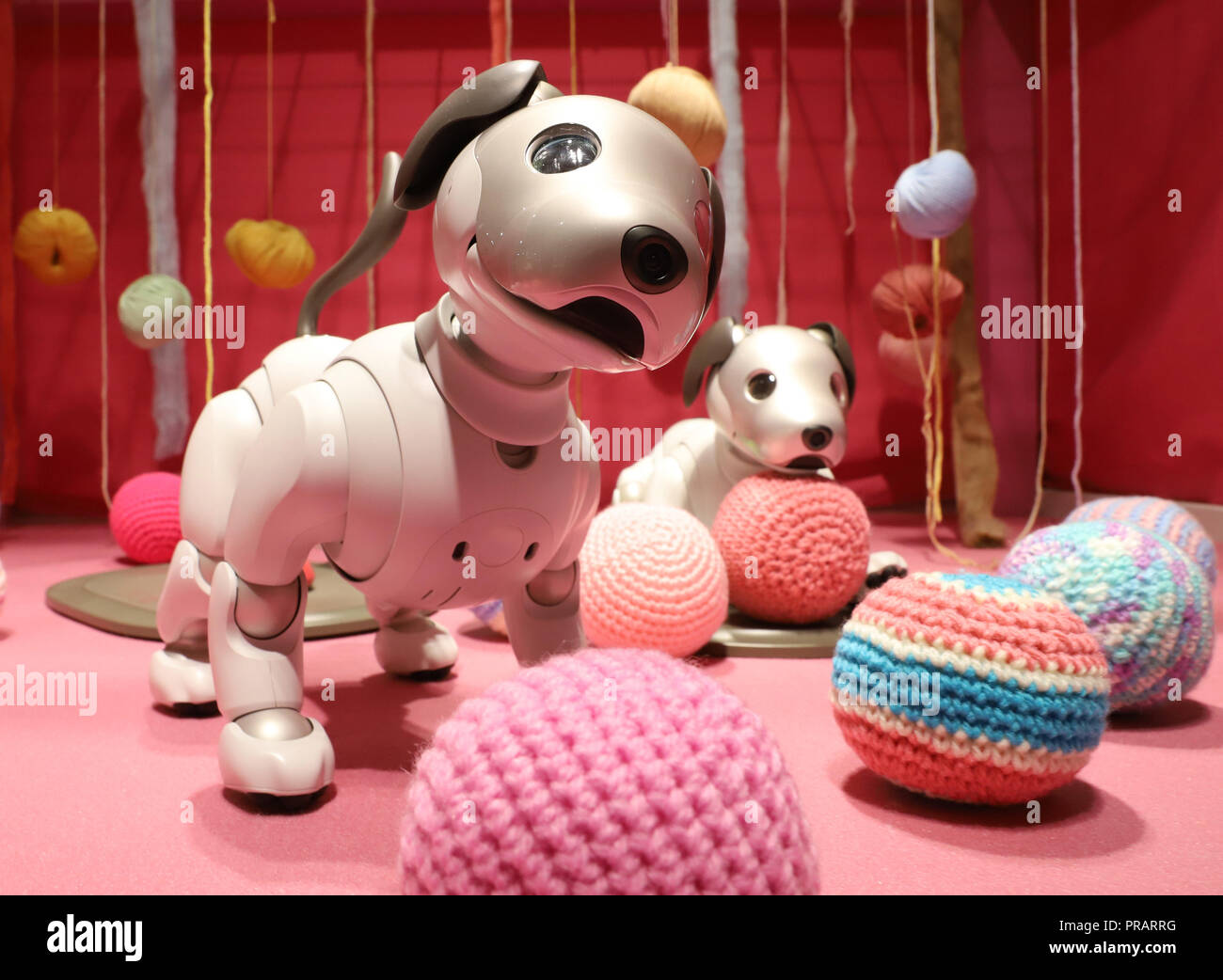 Tokyo, Japan. 29th Sep, 2019. Japanese electronics giant Sony's robot dogs "aibo" play with ...