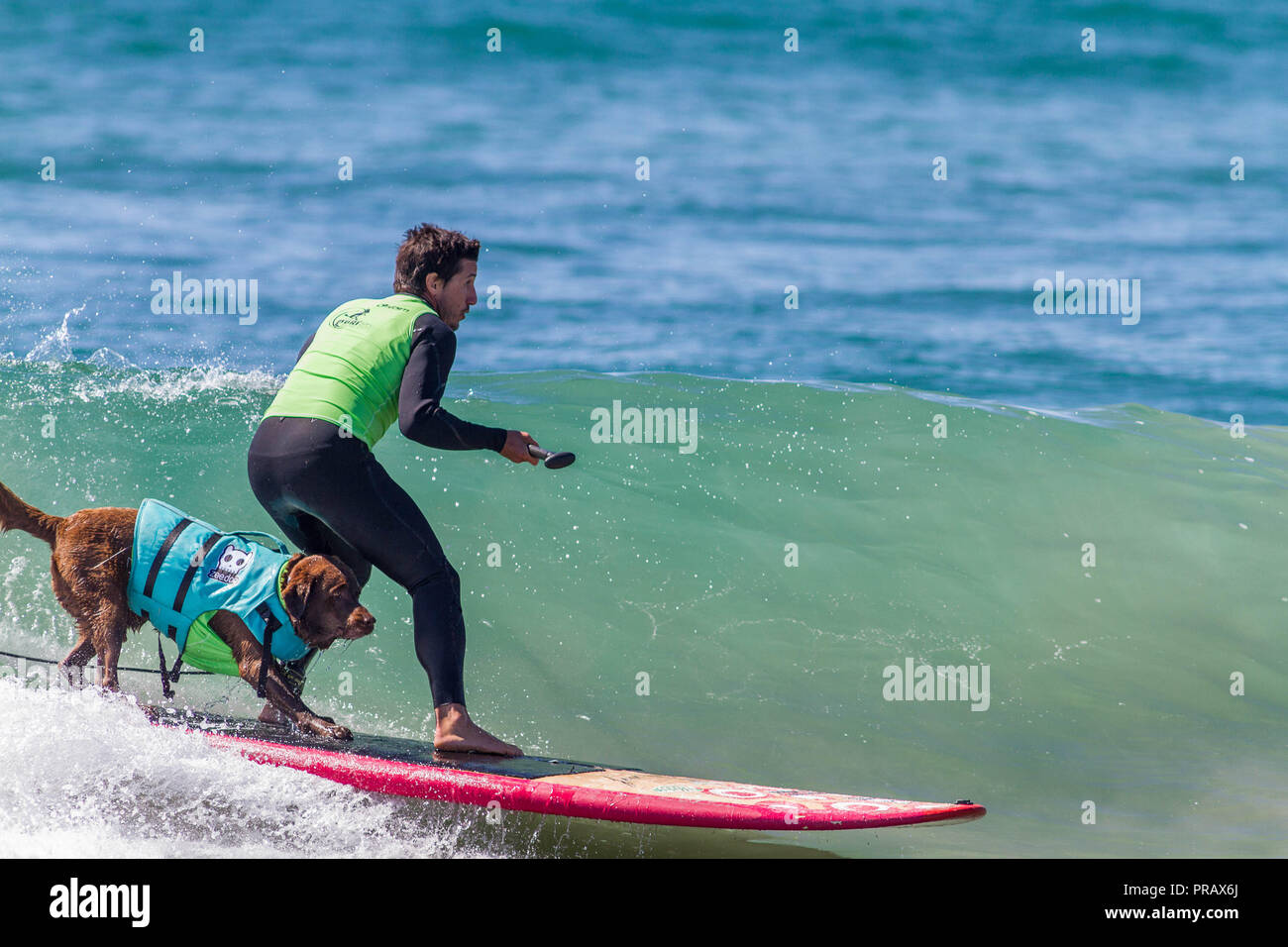 Hunnington Beach, CA, USA. 29th Sep, 2018. Surfcity Surfdog competition ...
