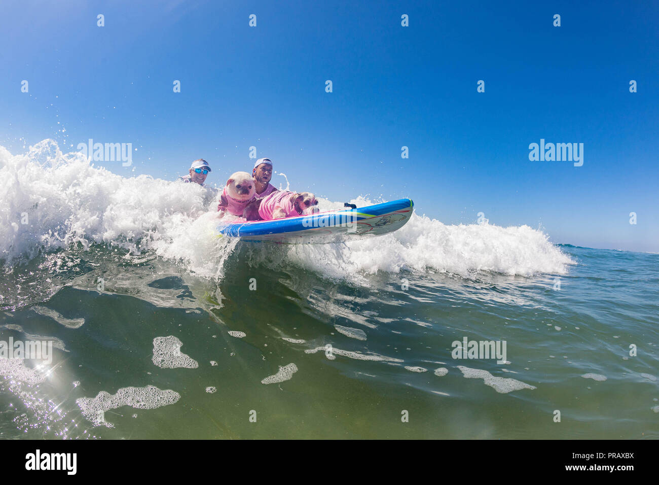 Hunnington Beach, CA, USA. 29th Sep, 2018. Surfcity Surfdog competition ...