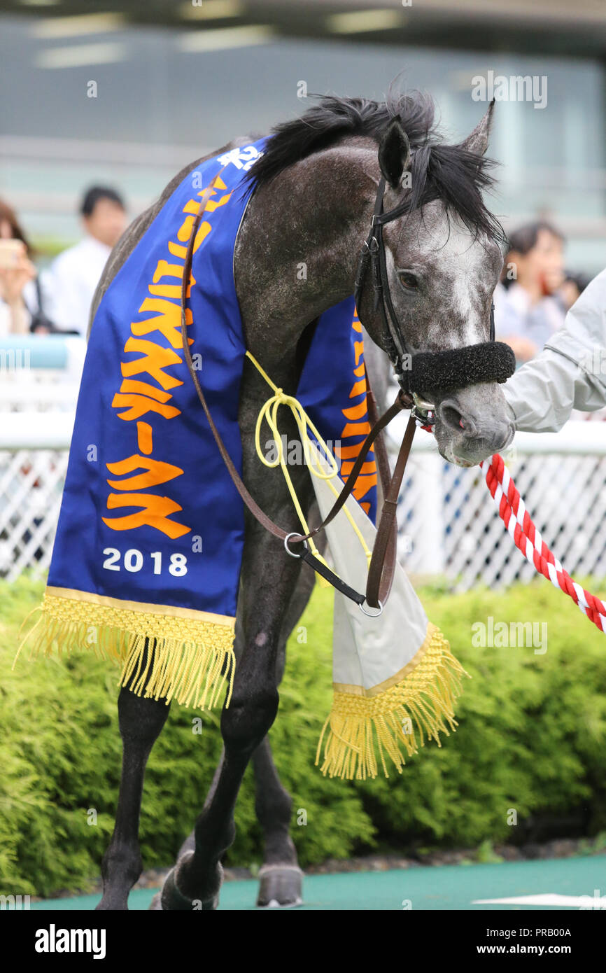 Hyogo, Japan. 29th Sep, 2018. Omega Perfume Horse Racing : Omega ...