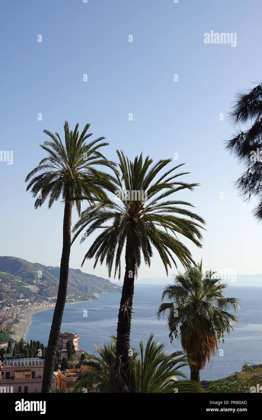 Taormina, Italy. 05th Sep, 2018. View through palm trees from Taormina ...