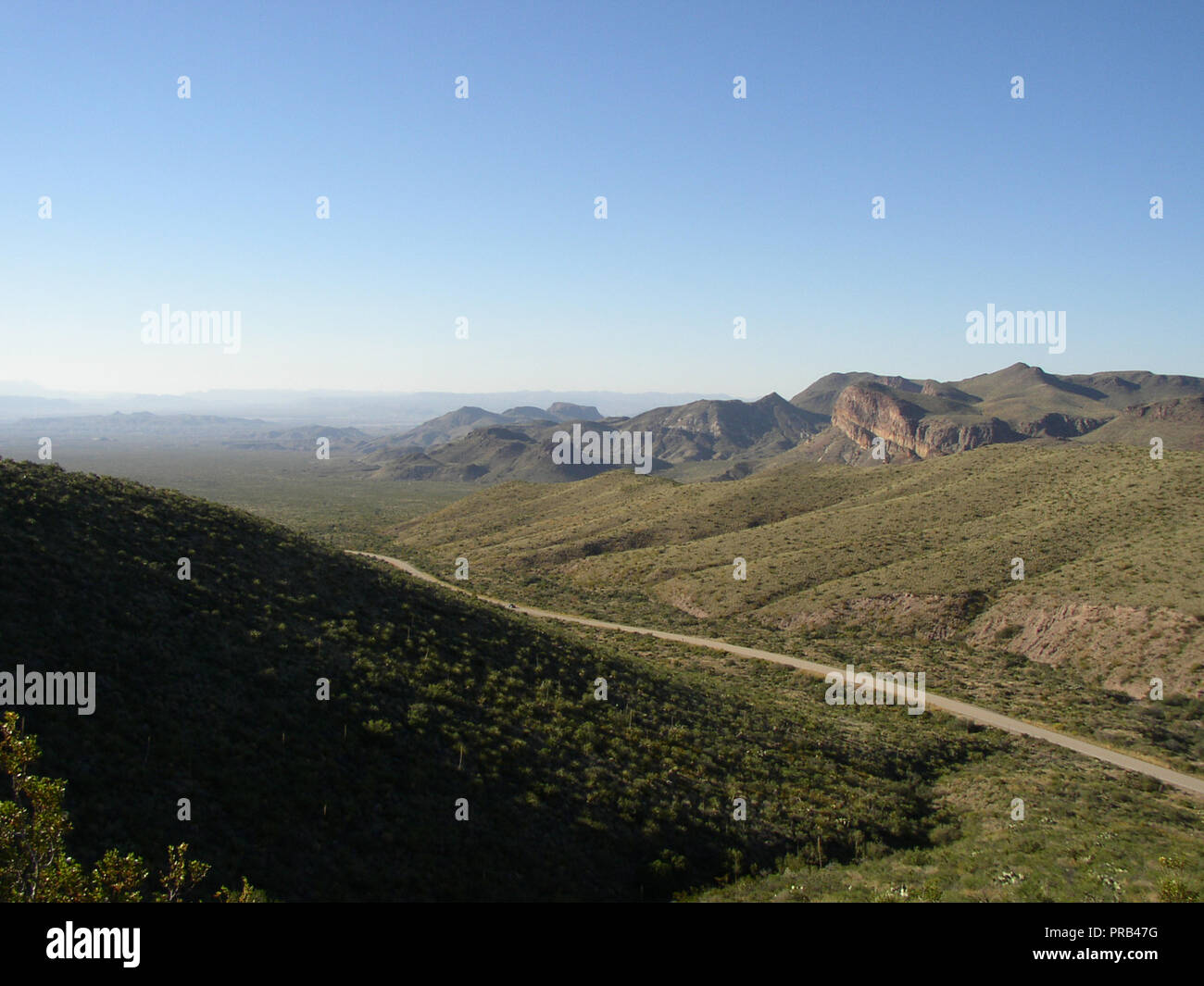 Ross maxwell hi-res stock photography and images - Alamy