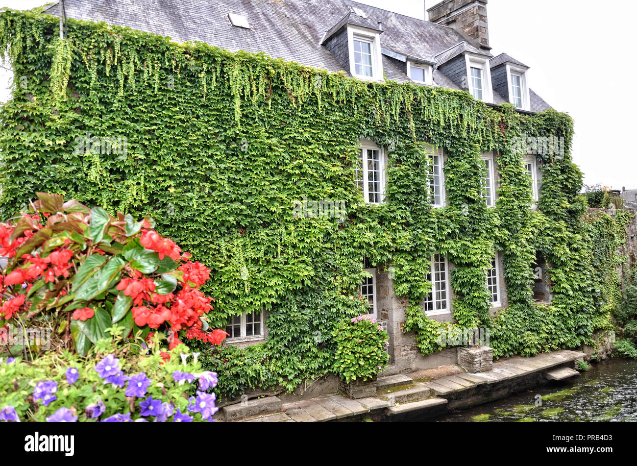 Ivy covered house hi-res stock photography and images - Alamy