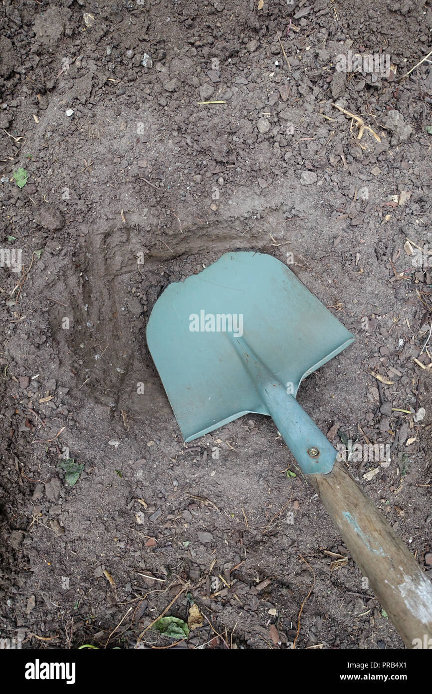 Person digging with shovel hi-res stock photography and images - Alamy