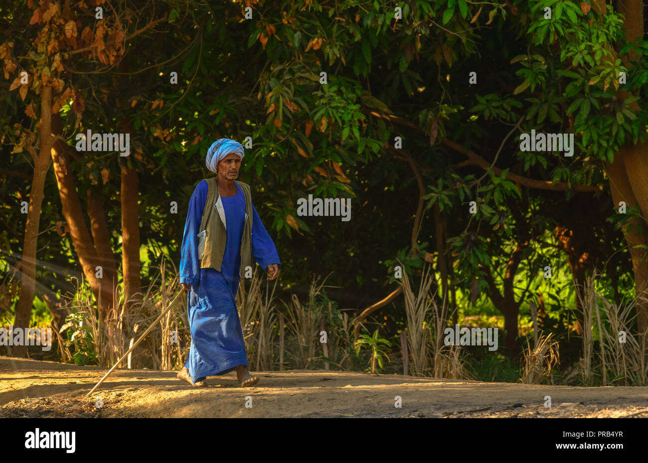 Goatherder hi-res stock photography and images - Alamy