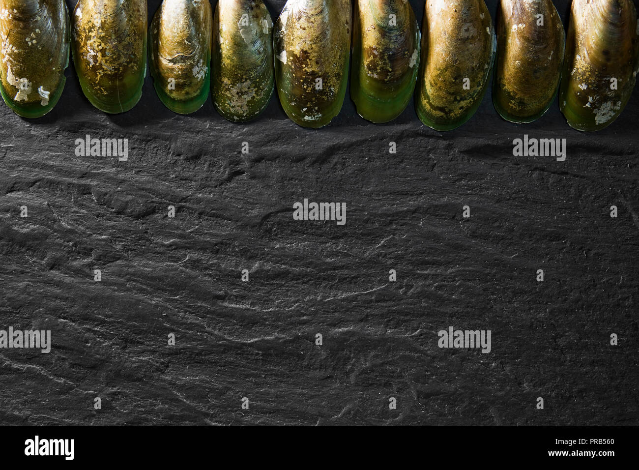 Calm shells background on the stone table. Free space for text . Top ...
