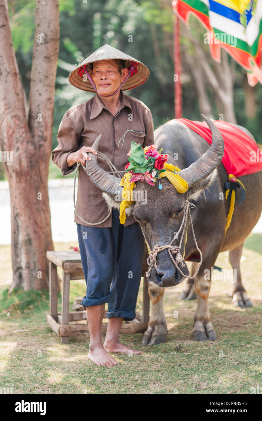 Decorated water buffalo on display for rides, standing beside his ...