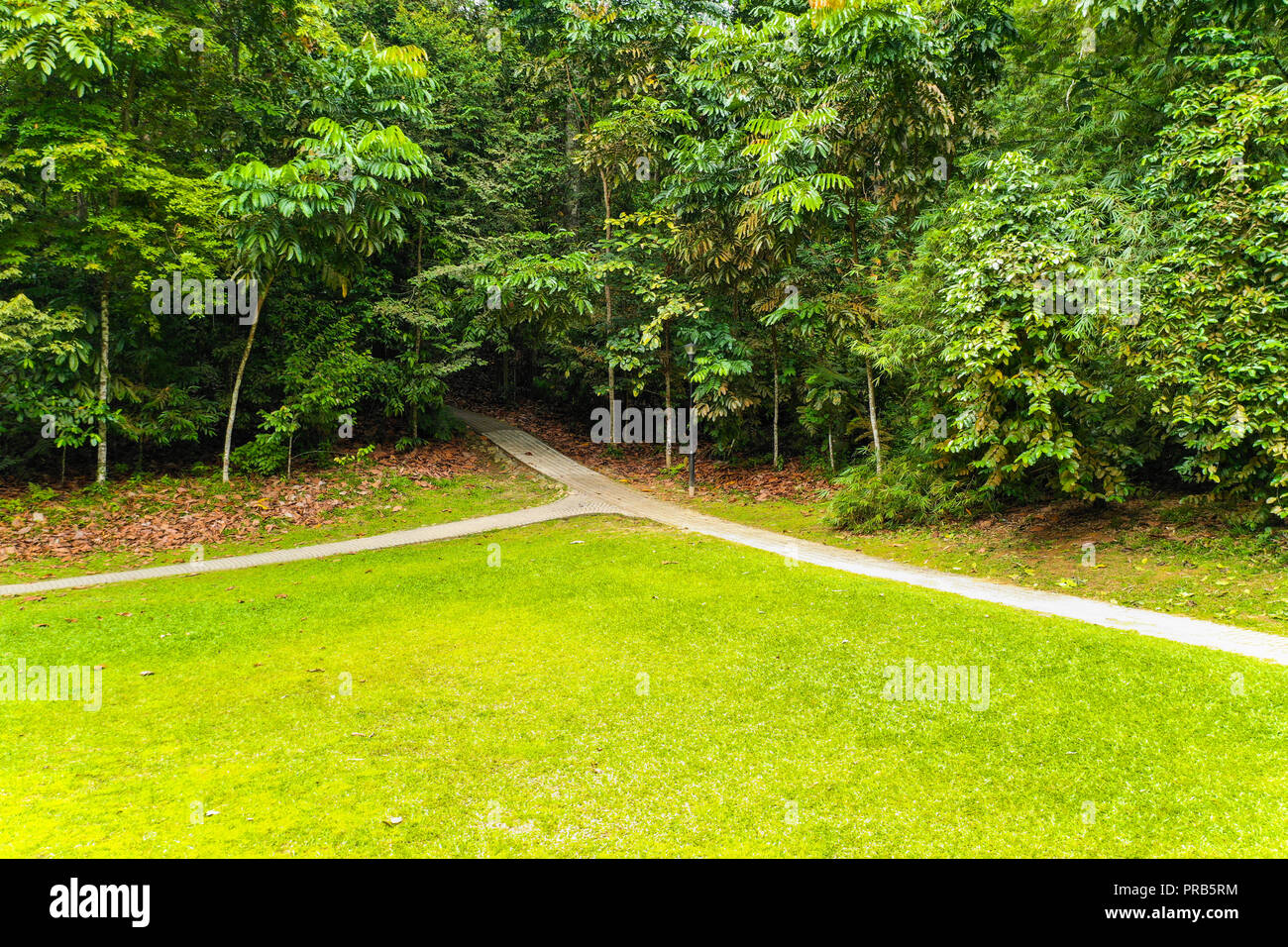 Singapore path greenery hi-res stock photography and images - Alamy