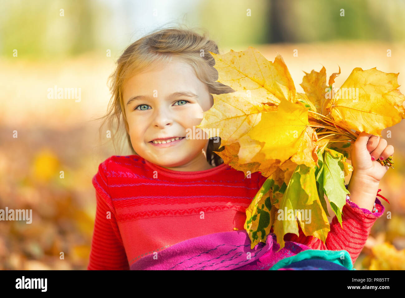 Happy little girl with autumn leaves Stock Photo - Alamy