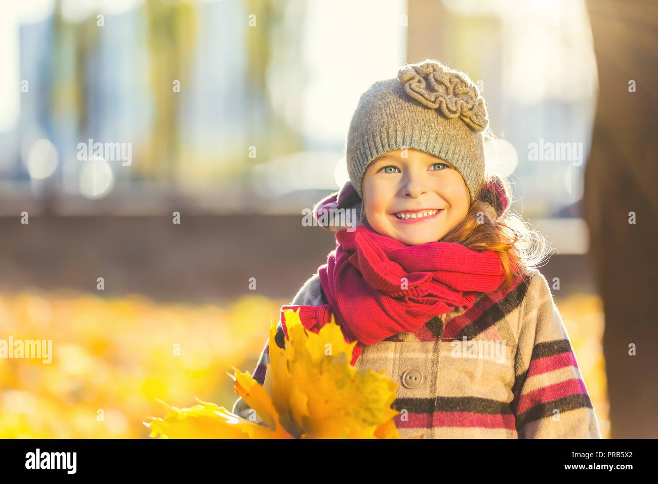 Happy little girl with autumn leaves Stock Photo - Alamy