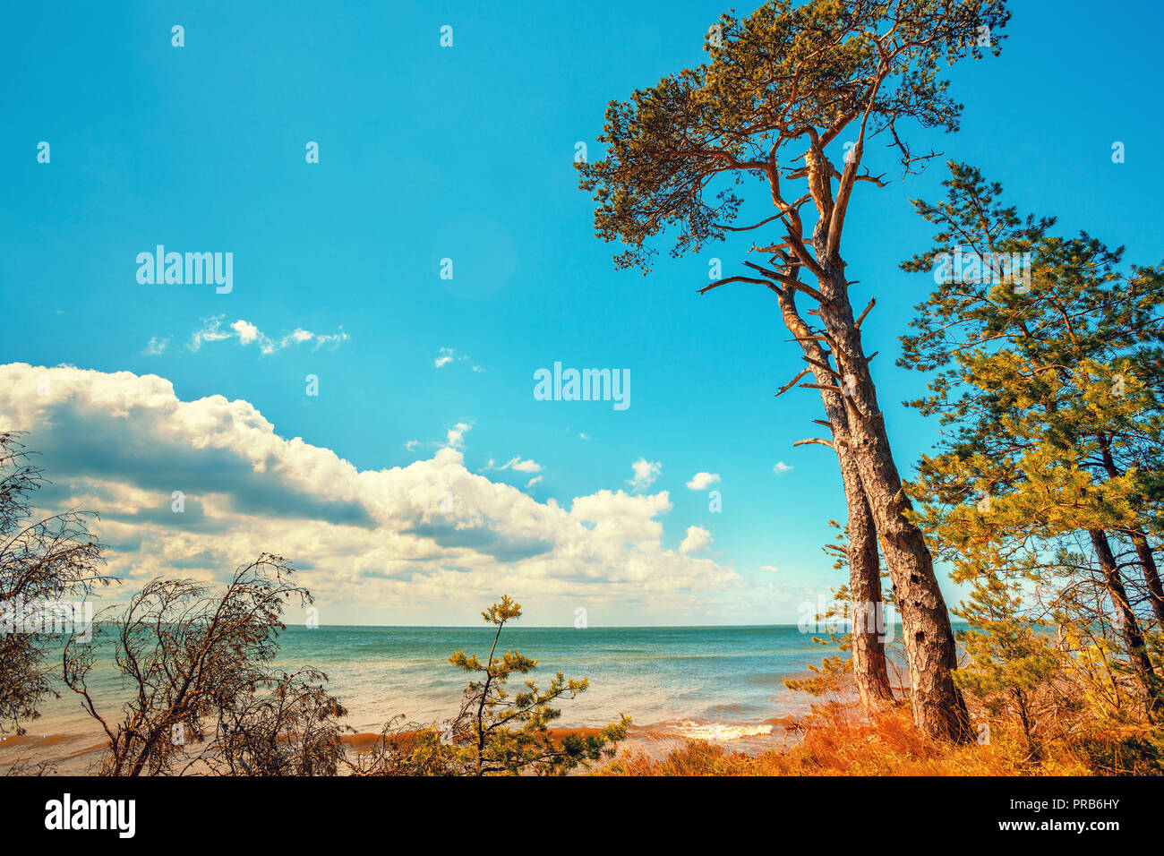Baltic wilderness hi-res stock photography and images - Alamy