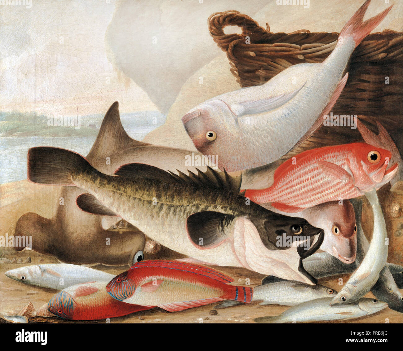 John Lewin, Fish Catch and Dawes Point, Sydney Harbour, Circa 1813 ...