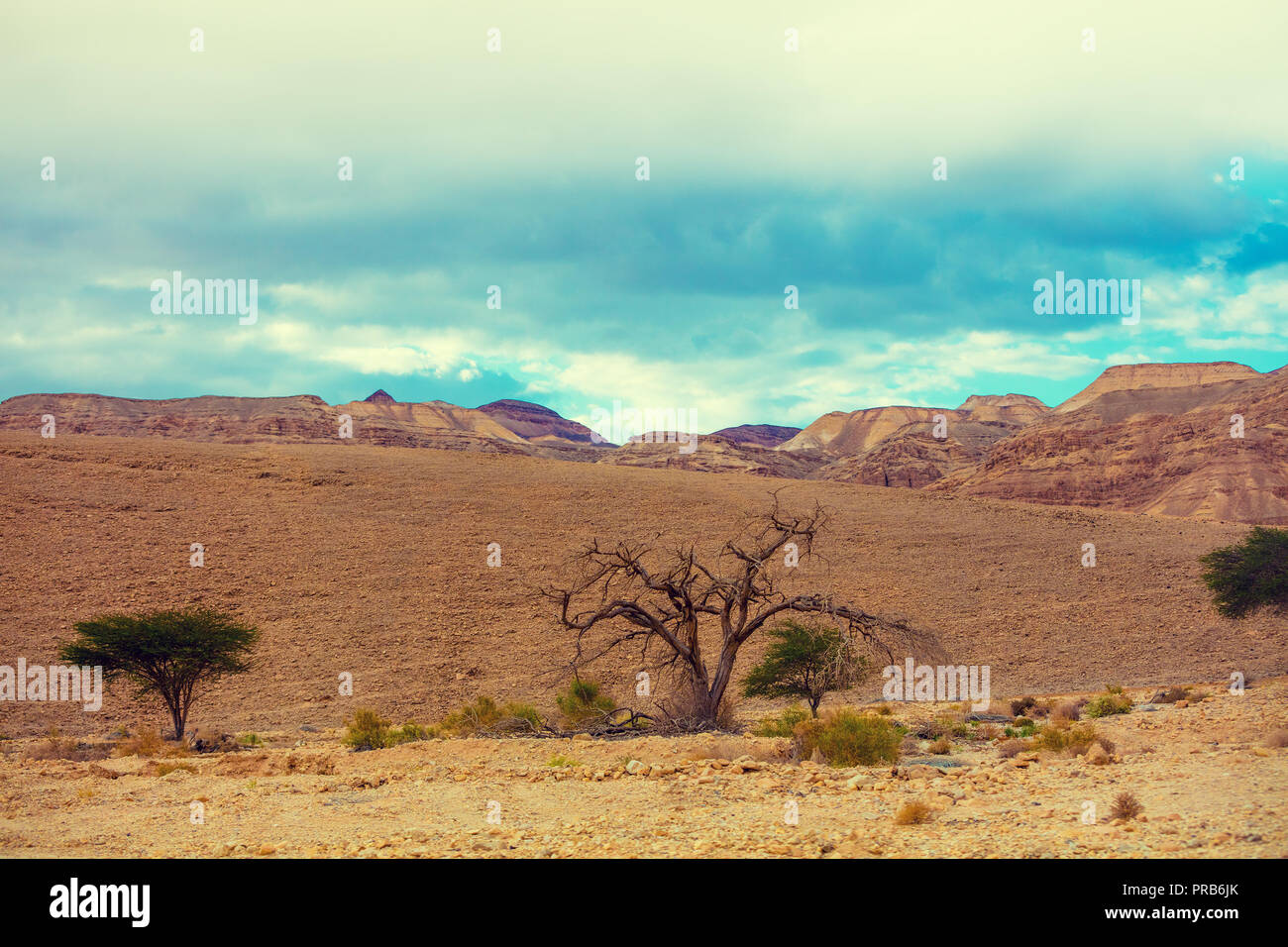Desert mountain landscape Stock Photo - Alamy