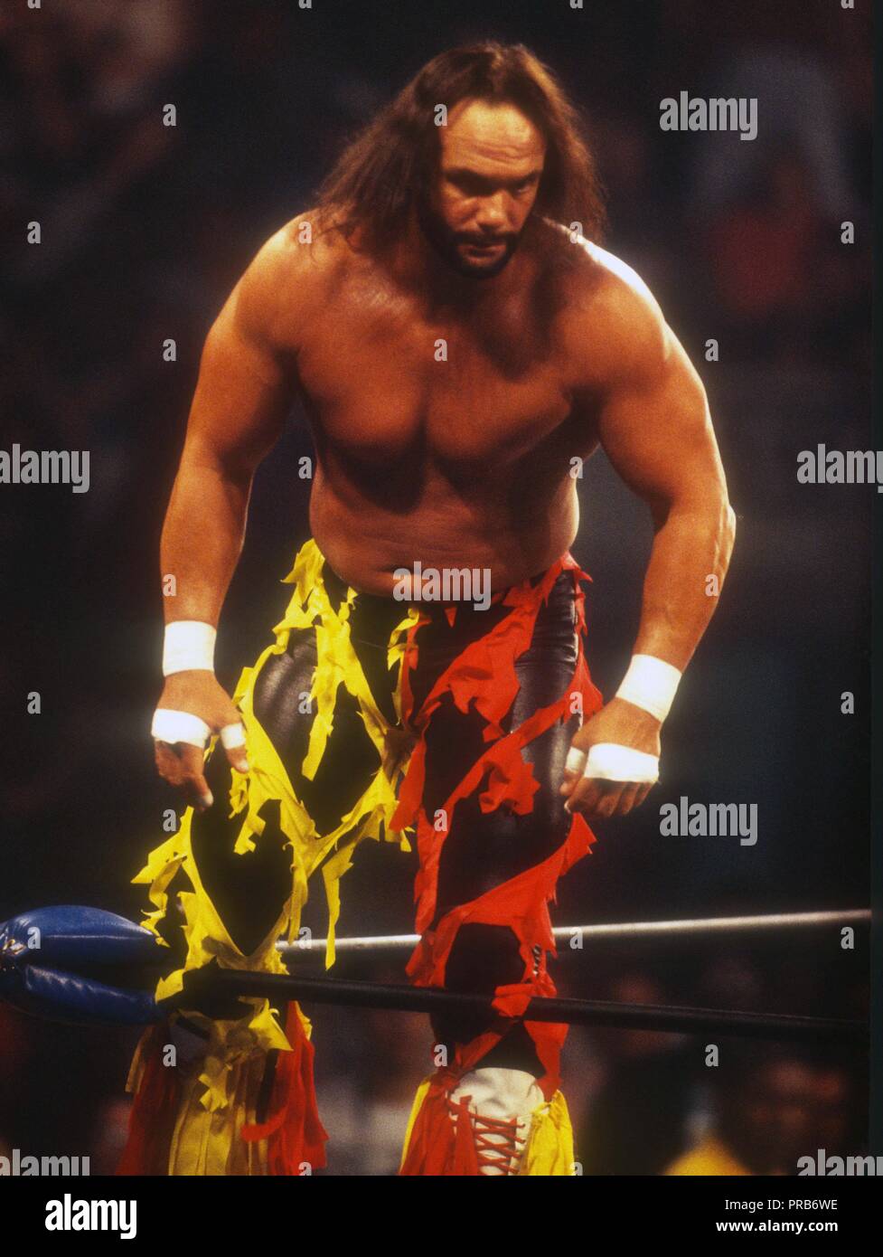 Macho Man Randy Savage 1995 Photo By John Barrett/PHOTOlink Stock Photo - Alamy