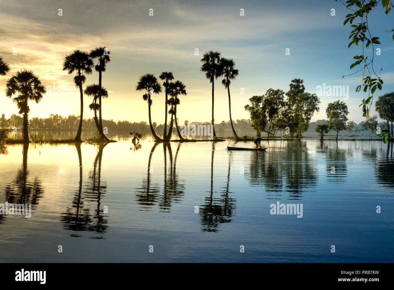 Sunrise With Trees And Water