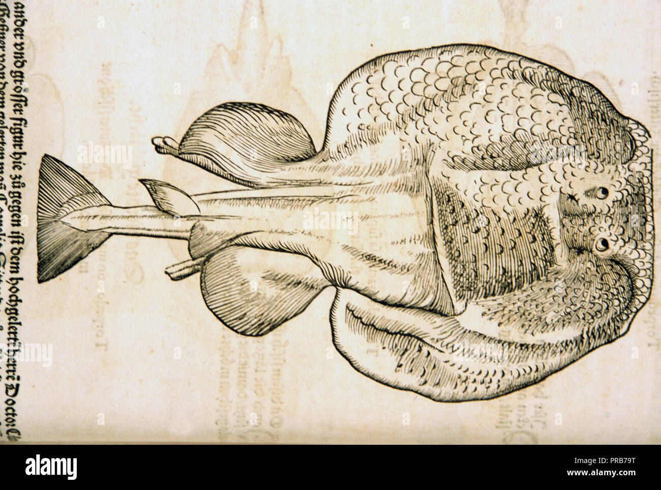 Archival torpedo hi-res stock photography and images - Alamy