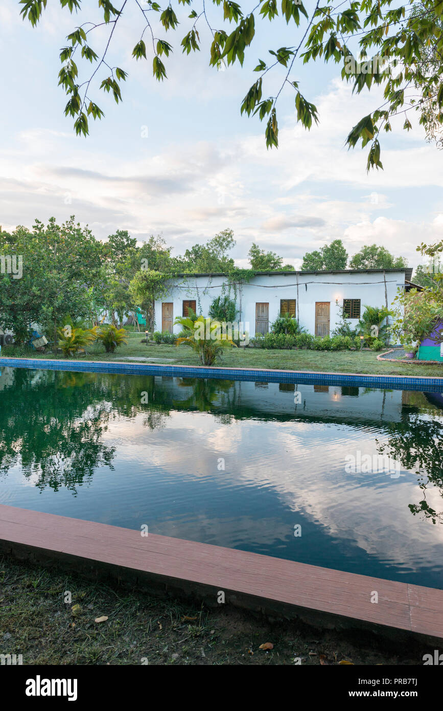 Vertical picture of beautiful and relaxing swimming pool during sunset ...